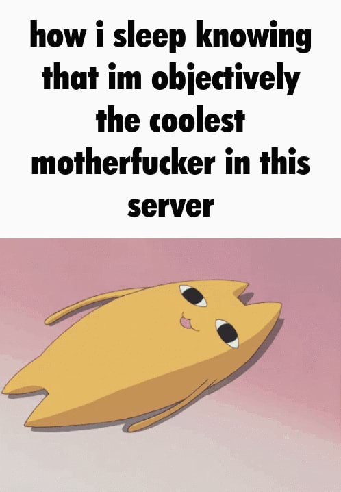 How i sleep knowing that im objectively the coolest motherfucker in this server - iFunny