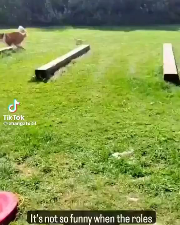 T's not so funny when the rales - iFunny