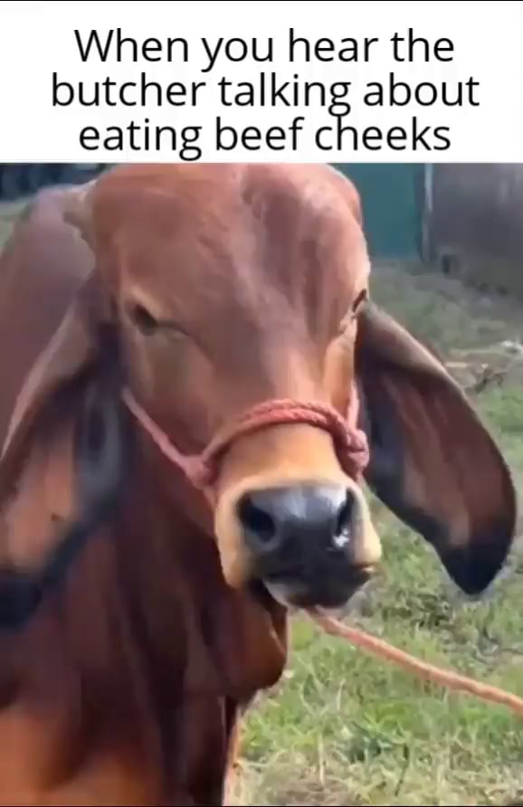 When you hear the butcher talking about eating beef cheeks - iFunny