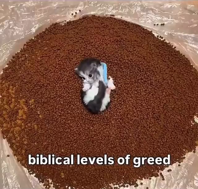 Biblical levels of greed - iFunny