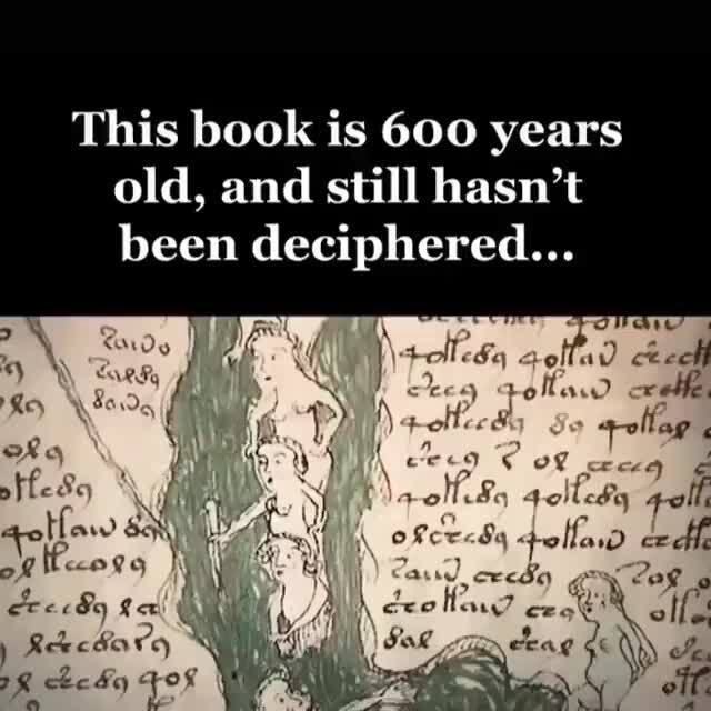 This book is 600 years old, and still hasn't been deciphered... - iFunny