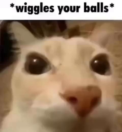 *wiggles your balls* - iFunny