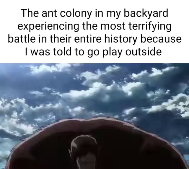 The ant colony in my backyard experiencing the most terrifying battle ...