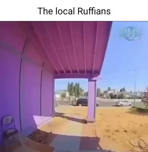 The local Ruffians - iFunny