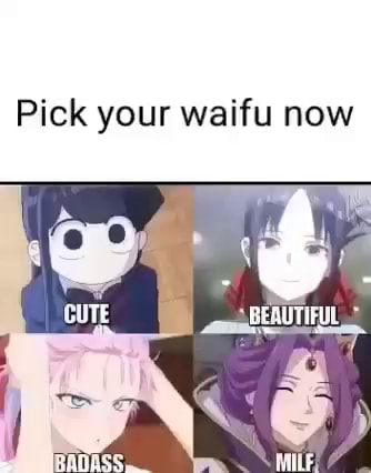 Pick your waifu now IRE - iFunny