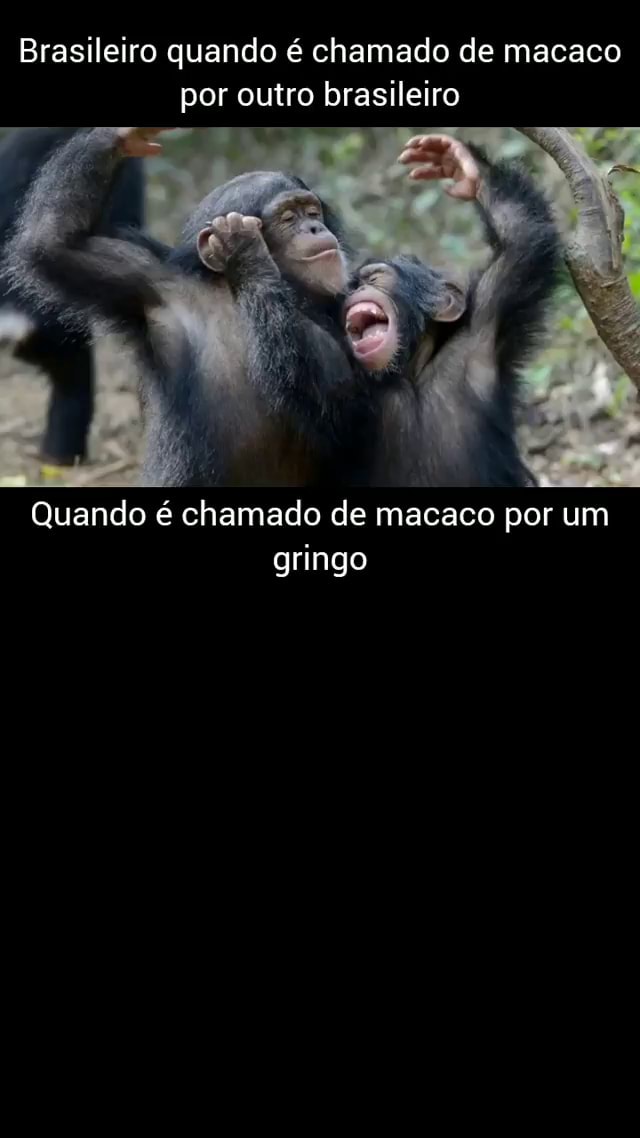 Brasileiro quando é chamado de macaco por outro brasileiro Quando é ...