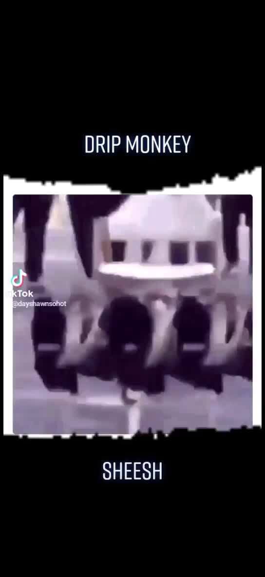 DRIP MONKEY SHEESH - iFunny