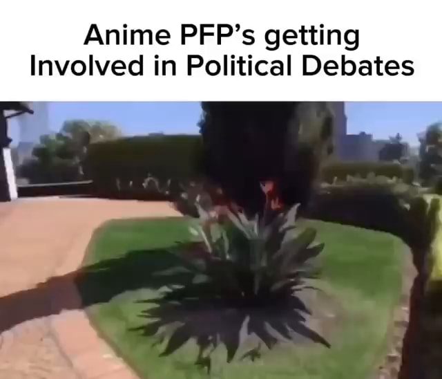 Anime PFP's getting Involved in Political Debates - iFunny