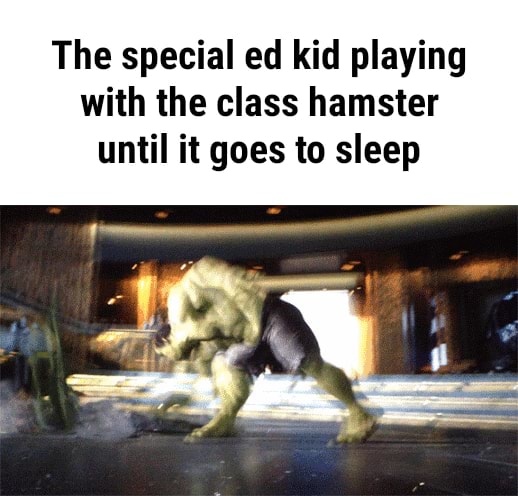 The special ed kid playing with the class hamster until it goes to ...