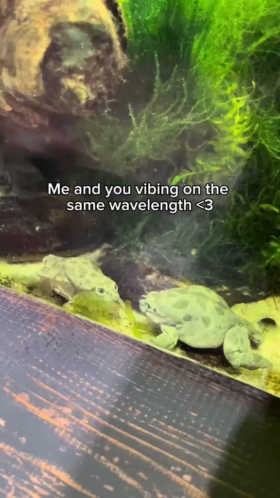 Me and you vibing on the same wavelength