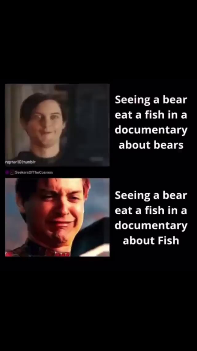 Seeing a bear eat a fish ina documentary about bears SeekersOfTheCosmos ...