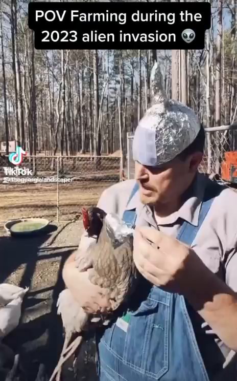 POV Farming during the I 2023 alien invasion - iFunny