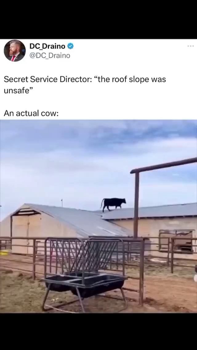DC Draino @ @DC _Draino Secret Service Director: "the roof slope was ...