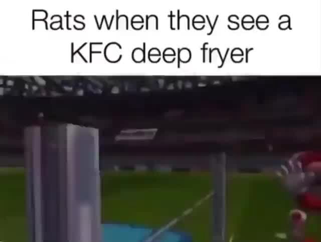 Rats when they see a KFC deep fryer - iFunny
