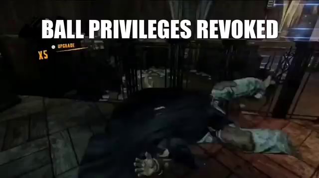 BALL PRIVILEGES REVOKED Le - iFunny