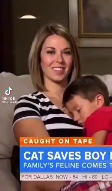 CAUGHT ON TAPE CAT SAVES BOY I FAMILY'S FELINE COMES - iFunny