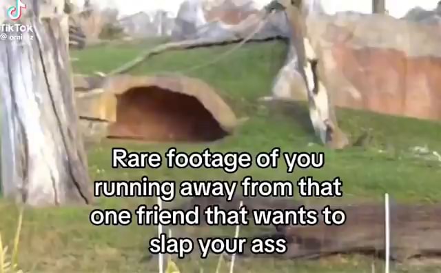 Rare footage of you "running running away from that one friend that ...