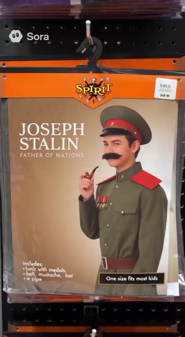 Sora, JOSEPH STALIN FATHER - iFunny