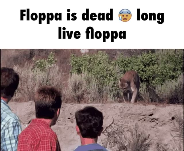 Rest in power king 👑 - Floppa is dead long live floppa - iFunny