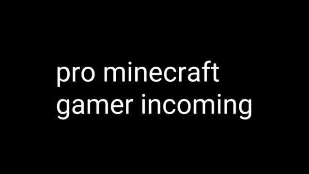 Pro minecraft gamer incoming - iFunny