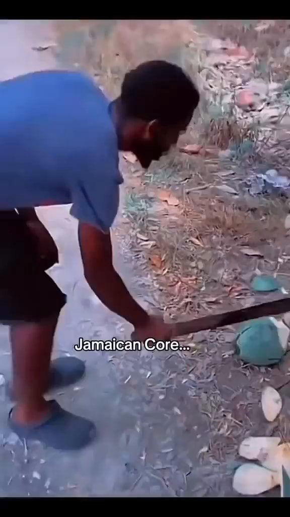 Jamaican Core... - iFunny
