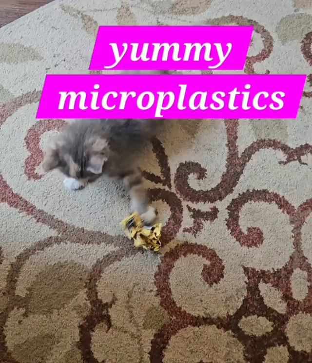 Yummy microplastics - iFunny