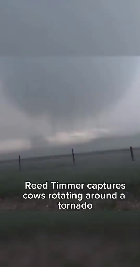 Reed Timmer captures cows rotating around a tornado - iFunny