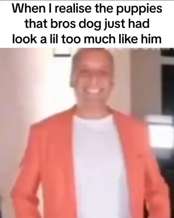 When I realise the puppies that bros dog just had look a lil too much ...