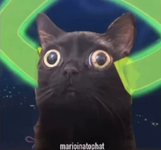 Video memes eAfIqMCj9 by stedman - iFunny