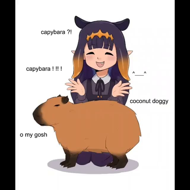 Capybara capybara coconut doggy my gosh - iFunny