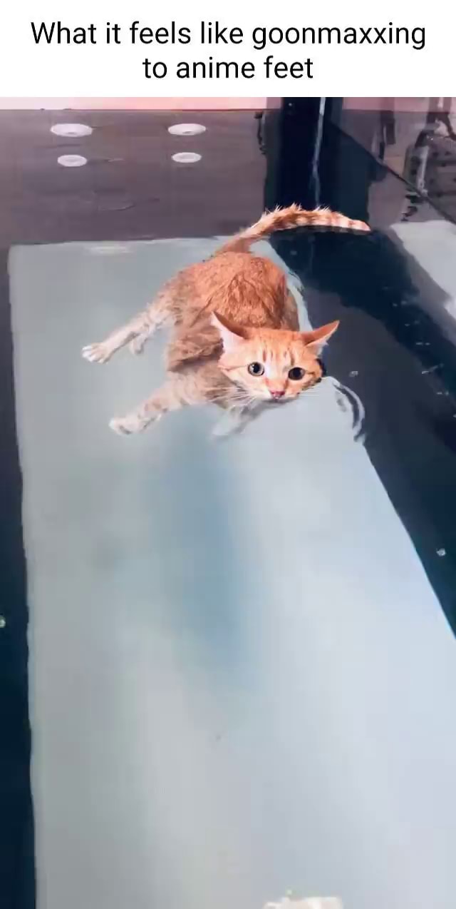 What it feels like goonmaxxing to anime feet - iFunny