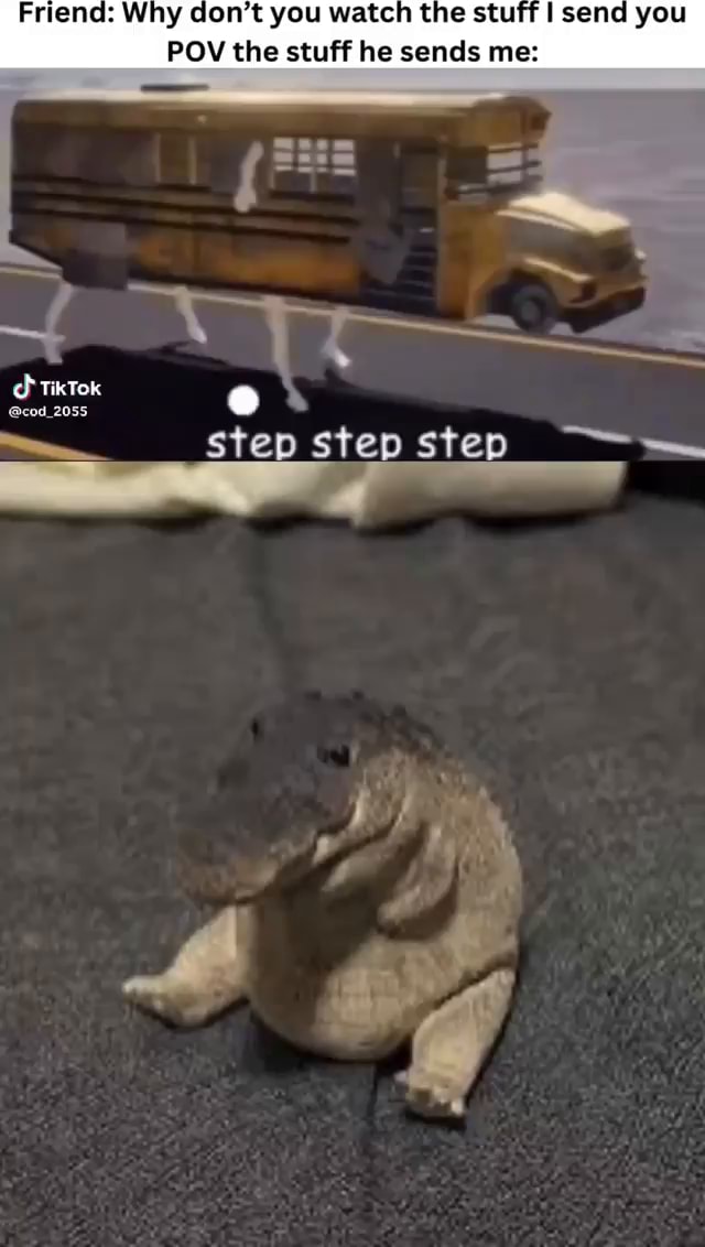 Don't you watch the stu POV the stuff he sends me: ch TikTok @cod_2055 ...