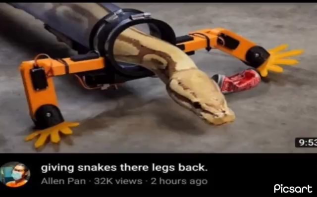 Giving snakes there legs back. Allen Pan views 2 hours ago - iFunny