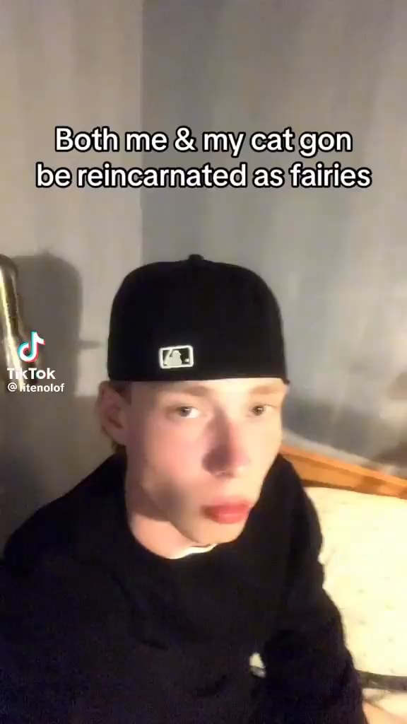 Both me & my cat gon be reincarnated as fairies TikTok @ Ktenoiot - iFunny