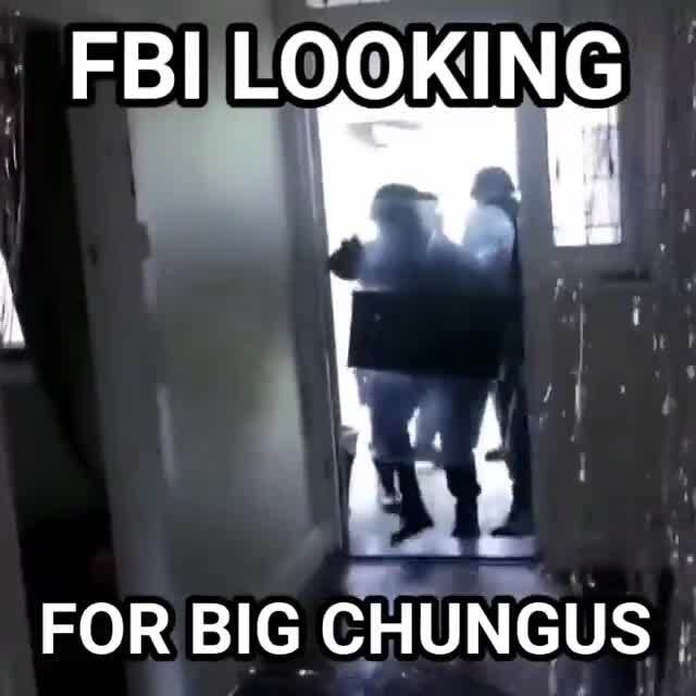 FBI LOOKING FOR BIG CHUNGUS - iFunny