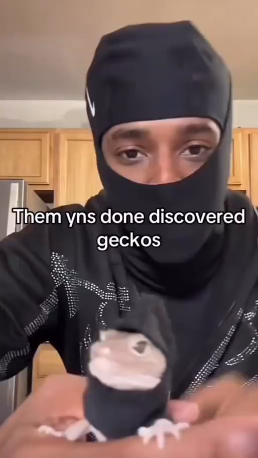 Them yns done discovered geckos - iFunny