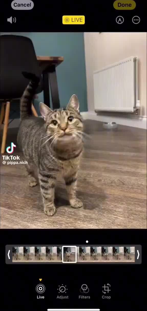 Live Adjust Filters - iFunny