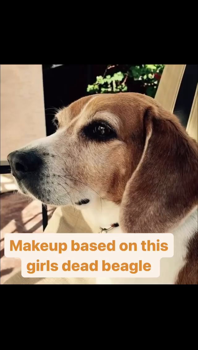 Makeup based on this girls dead beagle - iFunny