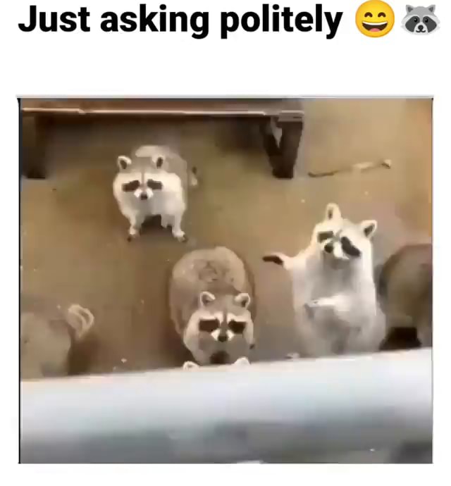 Just asking politely - iFunny