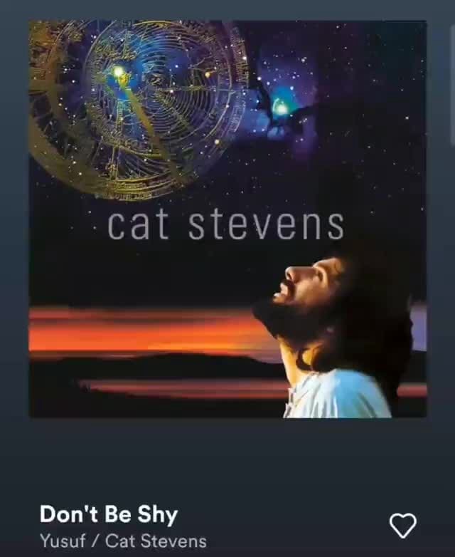 -Cat stevens Don't Be Shy Yusuf / Cat Stevens - iFunny