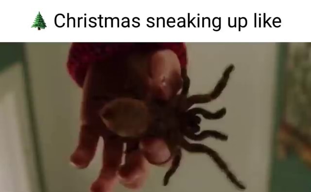 Christmas sneaking up like - iFunny