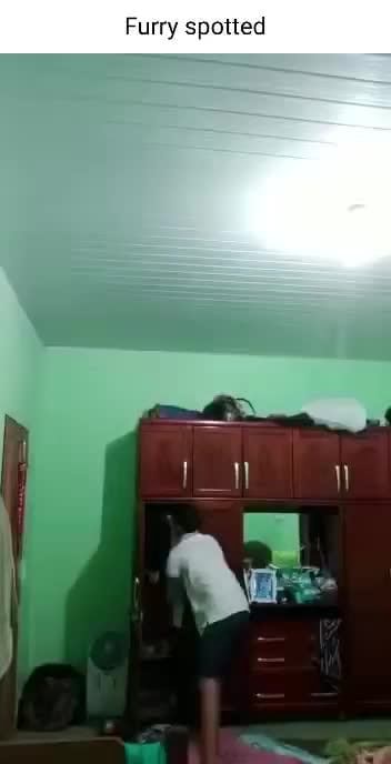 Furry spotted - iFunny