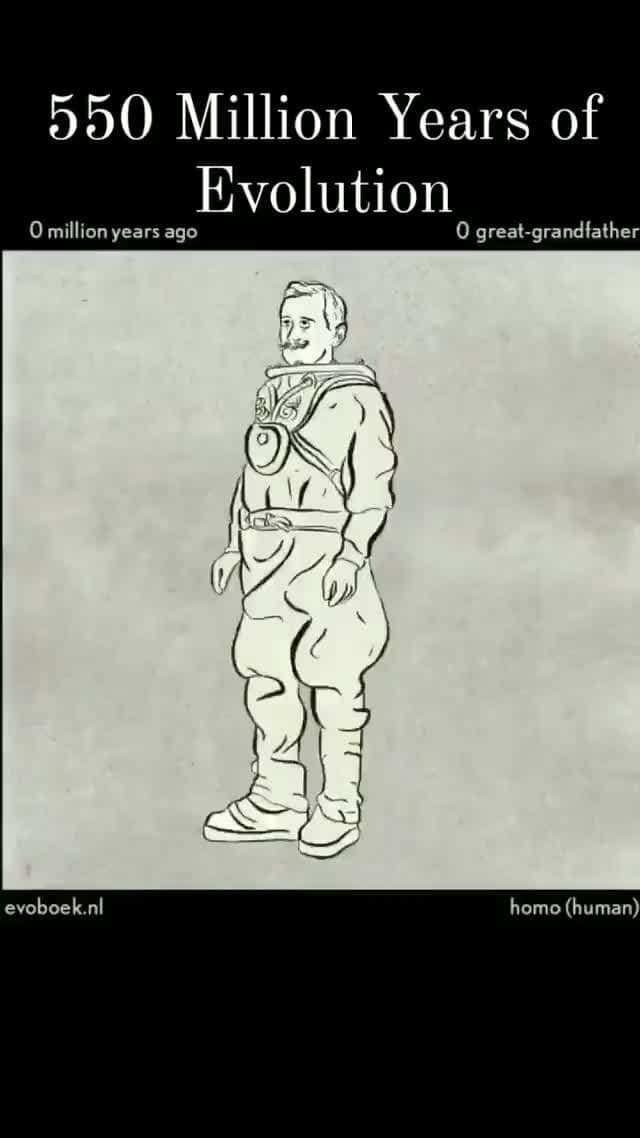 550 Million Years of Evolution O million years ago great-grandlather ...