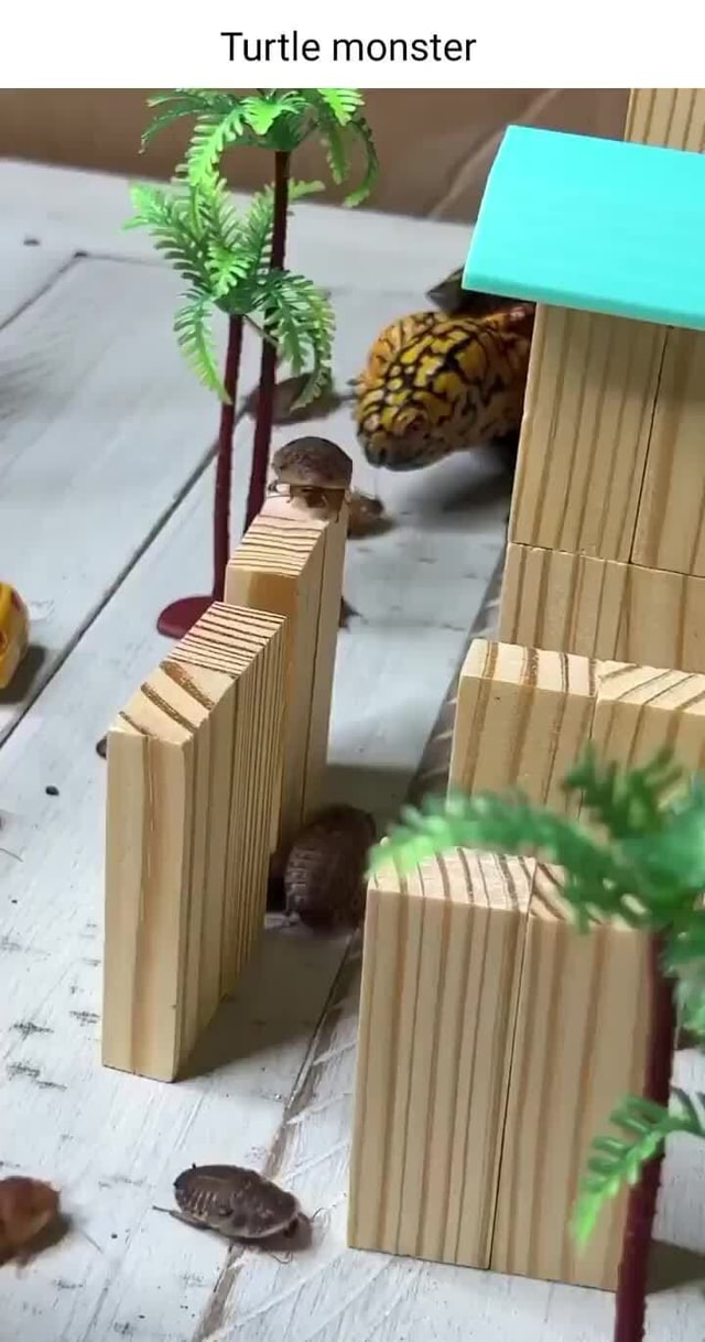 Turtle monster - iFunny