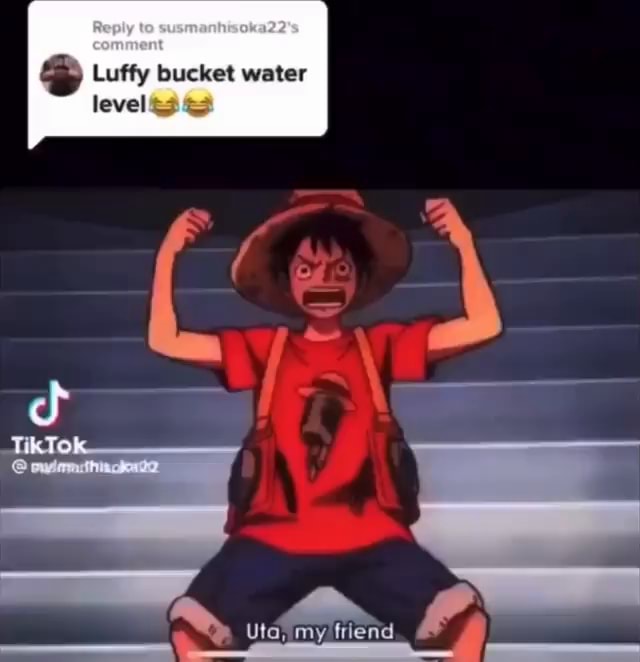 To Luffy bucket water level & friend - iFunny