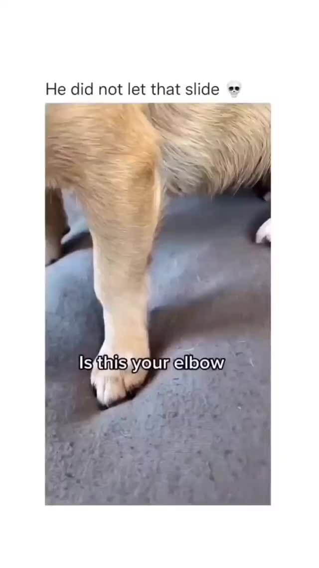 He did not let that slide Is your elbow - iFunny