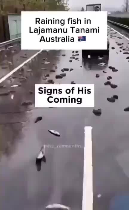 Raining fish in Lajamanu Tanami Australia Signs of His Coming - iFunny