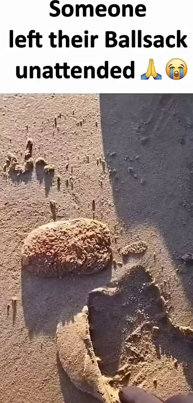 Left their Ballsack unattended - iFunny