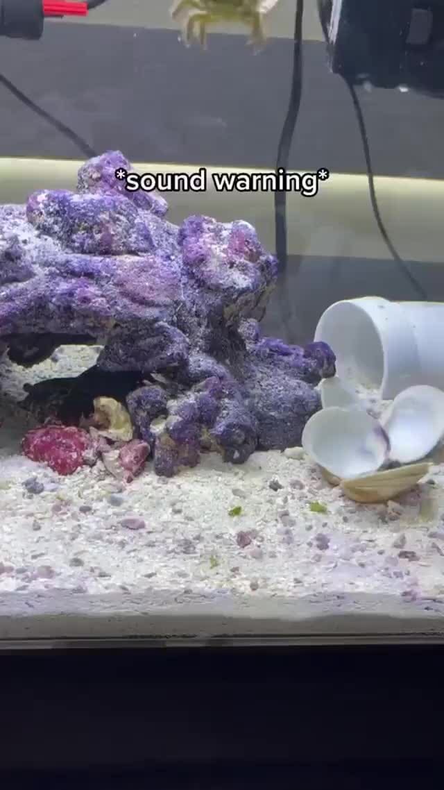 "sound warning* - iFunny