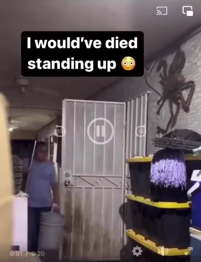 I would've died standing up - iFunny